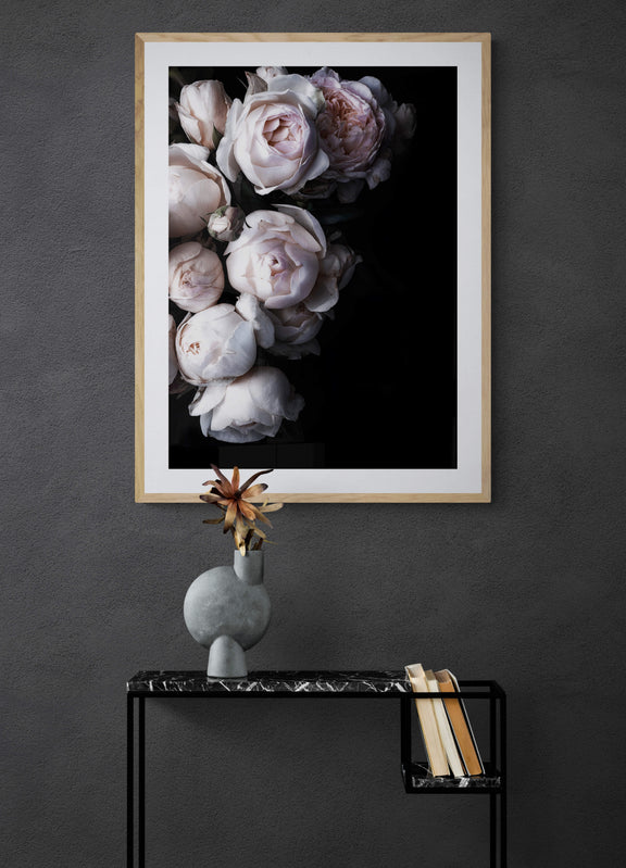 David Austin Cluster – FINEPRINTCO